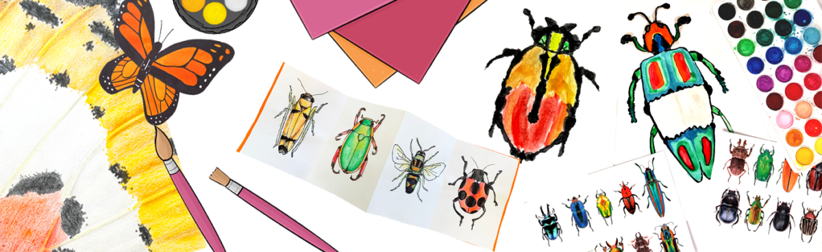 Bugs & Beetles Art Lesson Plans - K-6 Lesson Plans