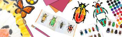 Bugs & Beetles Art Lesson Plans - K-6 Lesson Plans