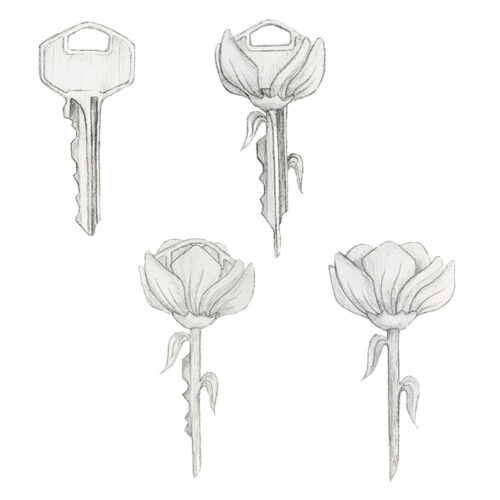 Metamorphosis Drawing | Creative Kids Art Lessons