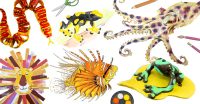 Sea Life Art Lesson Plans - Creative Kids Art Lessons
